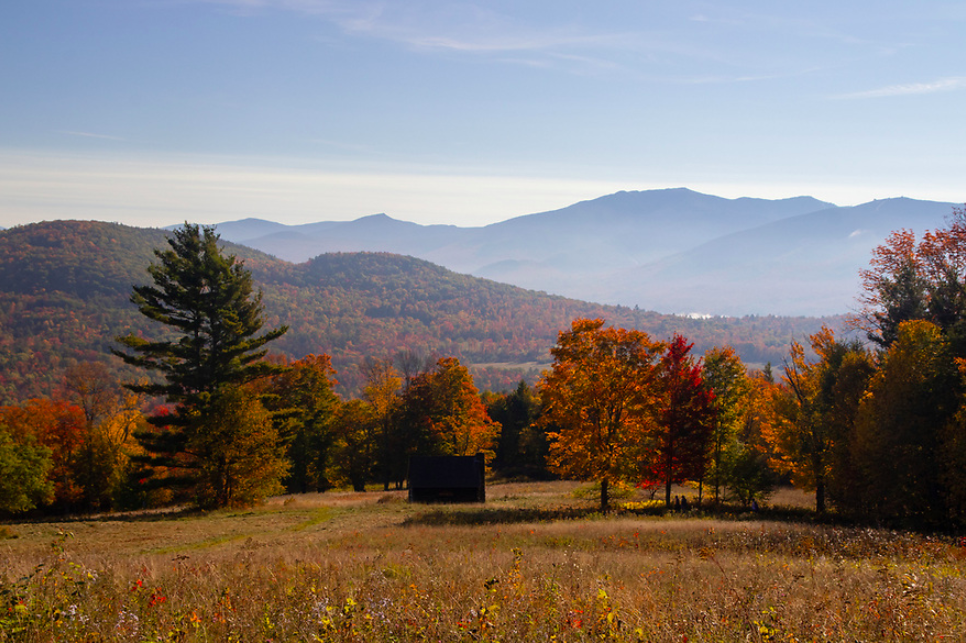 New England Fall Foliage Forecast 2025