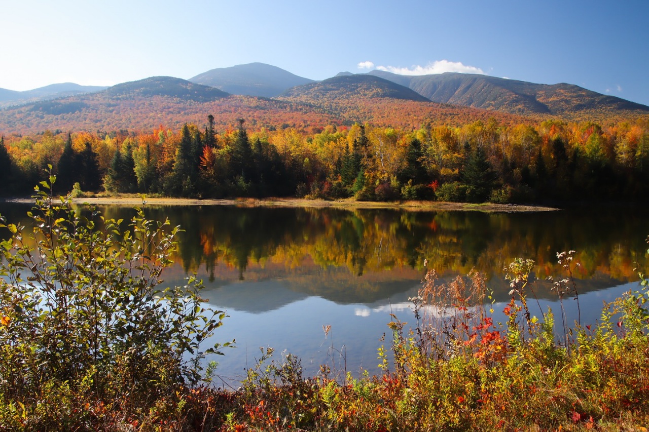 New England Fall Foliage Guide 2025 | Best Times & Routes