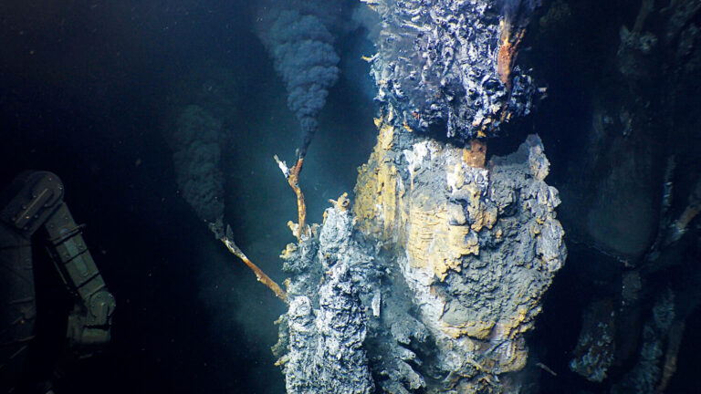 Deep Impact: The Woods Hole Alvin Submersible and Its Legacy of Deep ...