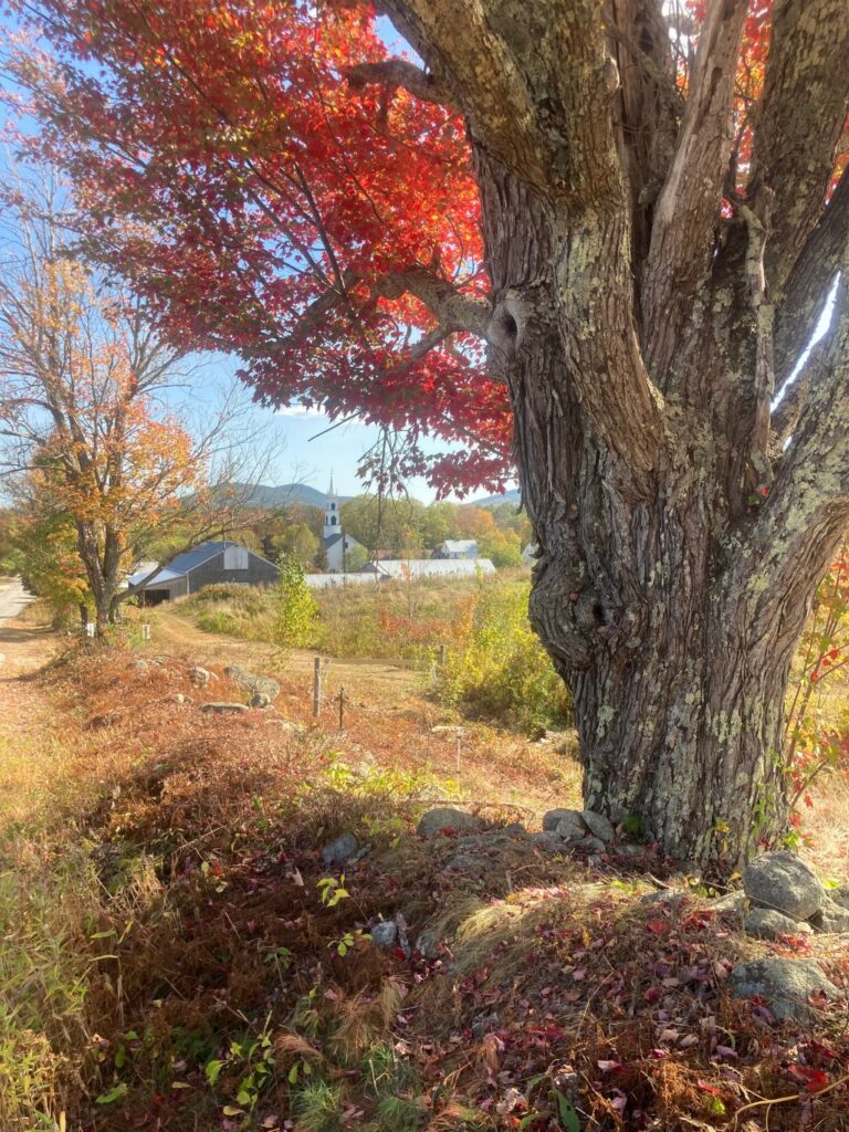 2025 New England Fall Foliage October Update | Early Peaks, Patchy ...