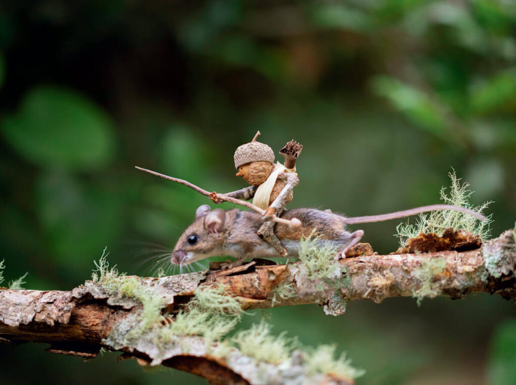 The Fantastic Forager: How Rhode Island Artist David M. Bird Turns ...