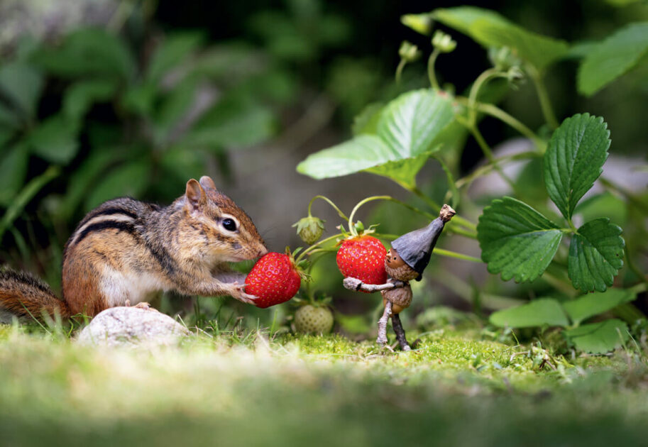 The Fantastic Forager: How Rhode Island Artist David M. Bird Turns ...
