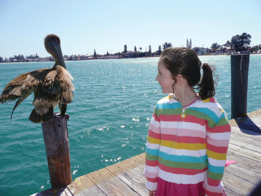 Your Vacation Can Live On and On - New England