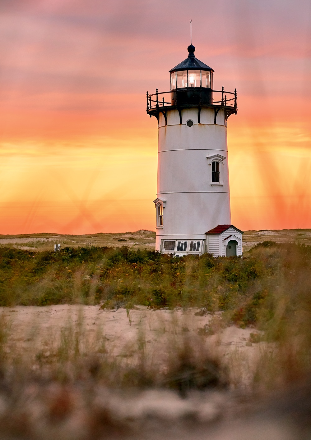 Favorite Things to See on Cape Cod | Yankee Magazine