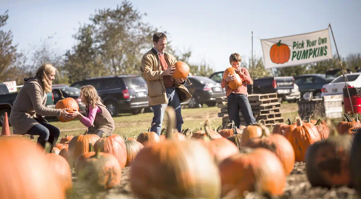 Best 5 Family-Friendly Apple Orchards - New England