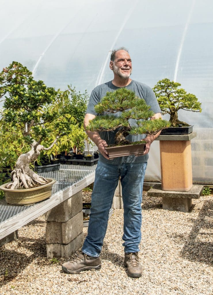 A Living Art at Bonsai West in Littleton, Massachusetts | Garden ...