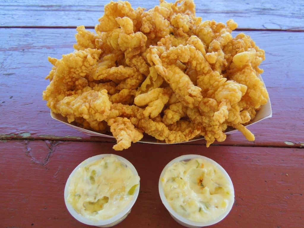 10 Best Fried Clam Strips in New England