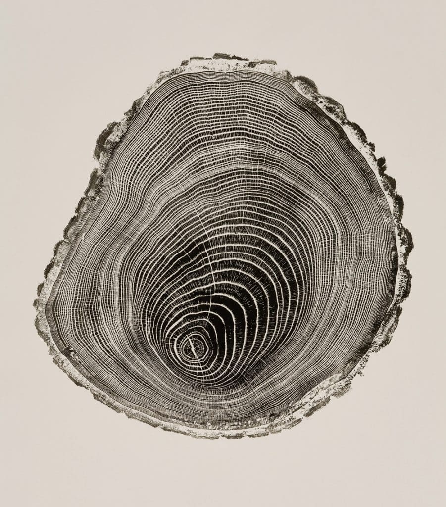 Life in the Kingdom | Lessons from the Scrap Pile