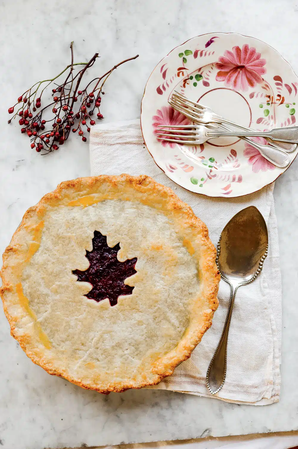 Cranberry-Raisin Pie (Mock Cherry Pie) - New England