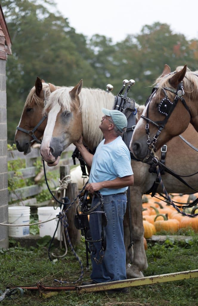 Scenes from Coppal House Farm in Lee, New Hampshire