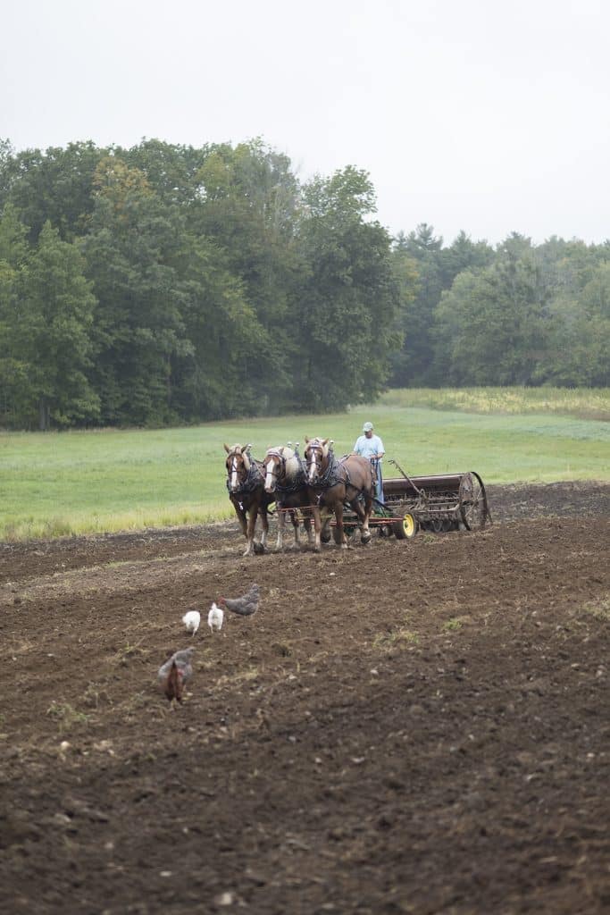 Scenes from Coppal House Farm in Lee, New Hampshire - New England
