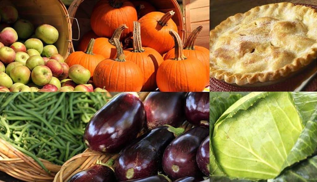 Discover Fall Farms and Festivals in Central Massachusetts