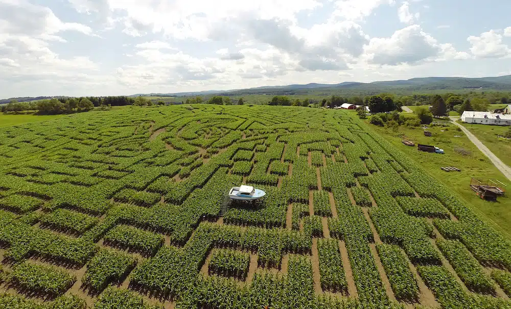 Best Corn Maze in Every New England State