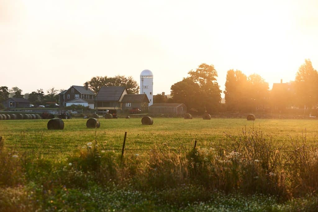Scenes from the New England Farm Coast in Summer - New England