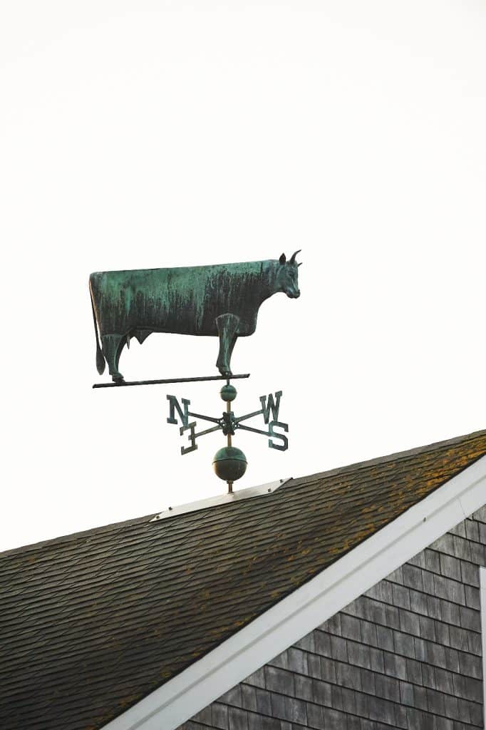 Scenes from the New England Farm Coast in Summer