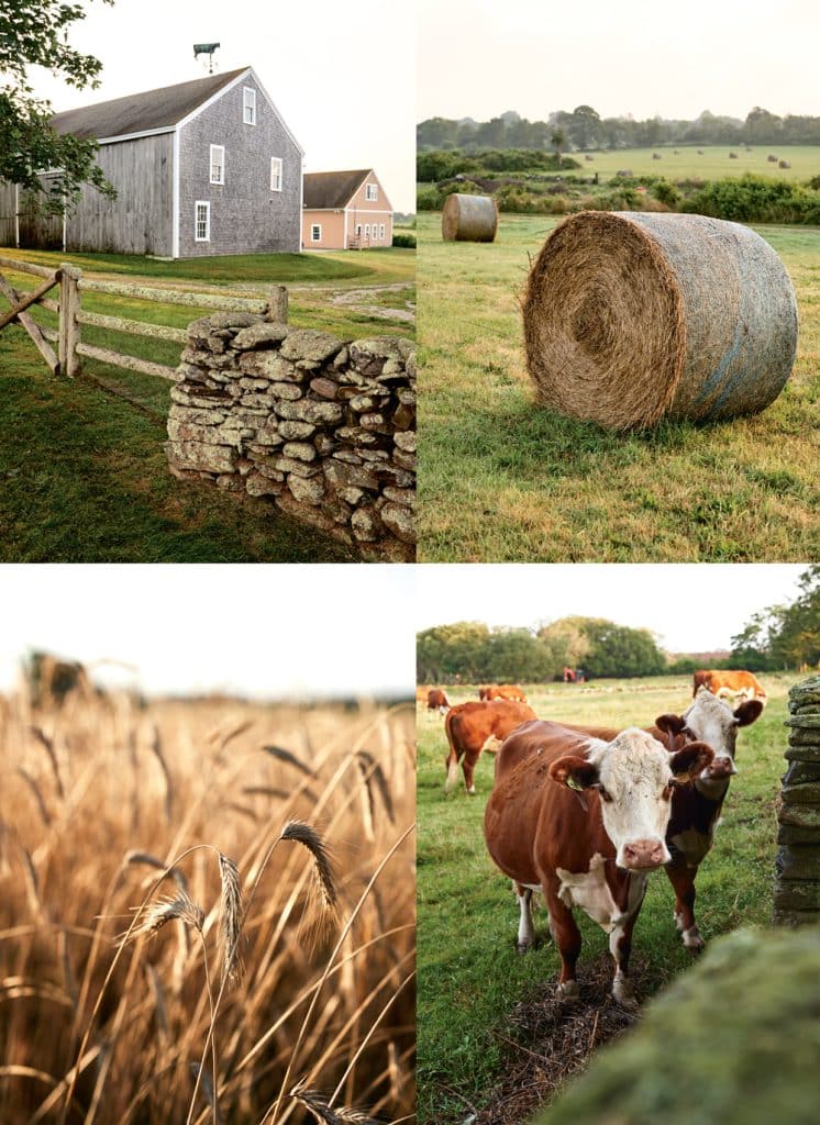 A Hidden Beauty | Exploring the Massachusetts and Rhode Island Farm ...