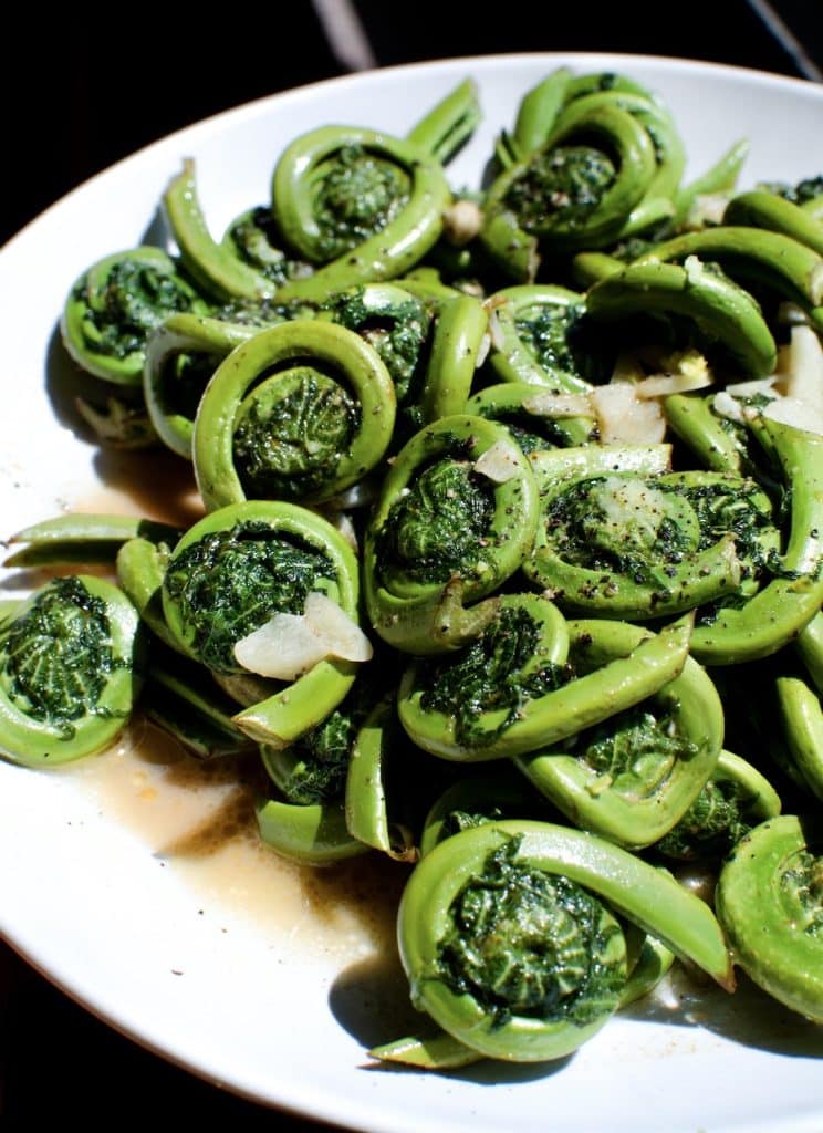 Sautéed Fiddleheads