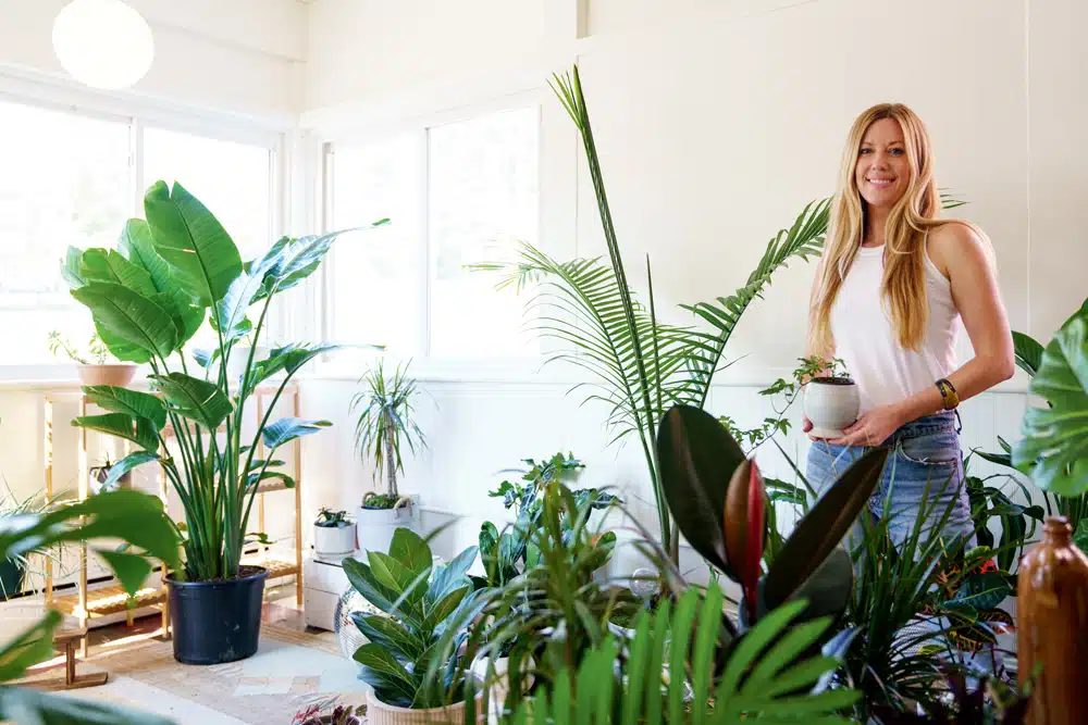 Goodwill to Go in Middlebury, Vermont | First Light - New England