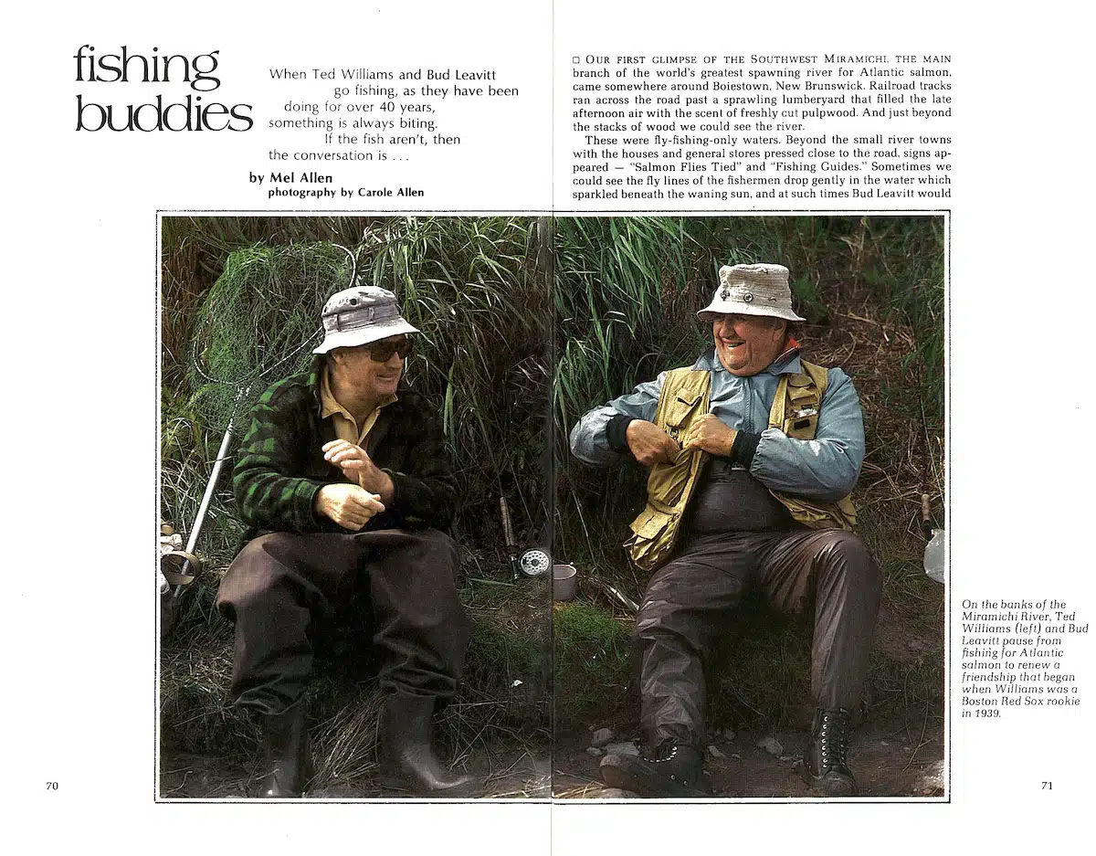 Back Stories: What Ted Williams Taught Me About Writing - New England