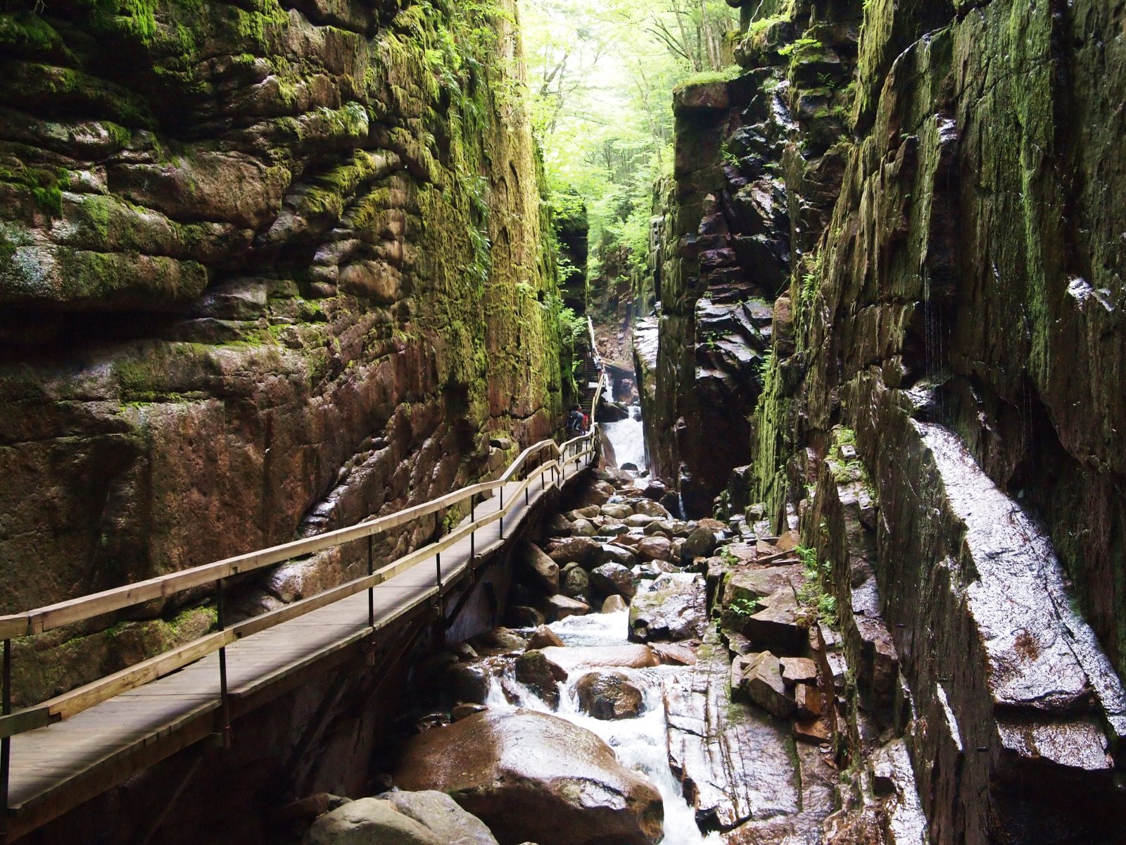 The Flume Gorge in Lincoln, NH | Hiking Through History