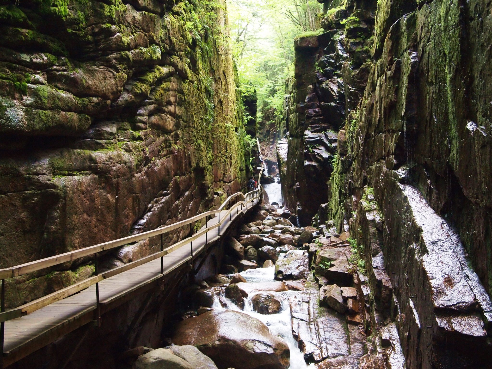 The Flume Gorge in Lincoln, NH | Hiking Through History