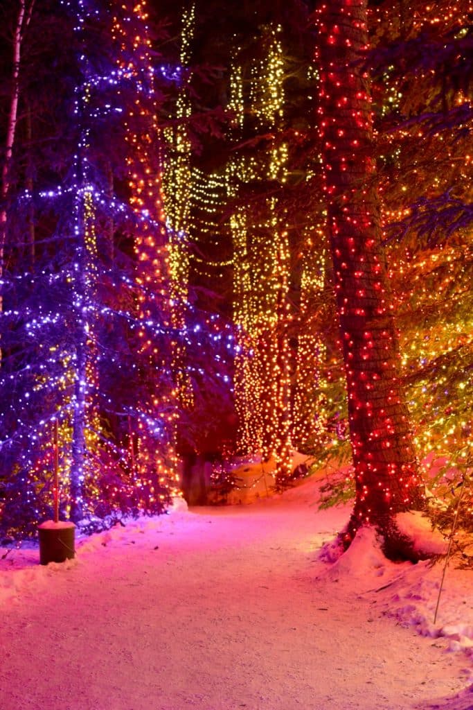 9 Best Things to Do in Maine This Holiday Season - New England