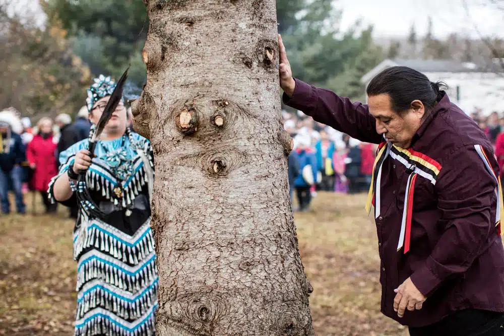 The Boston Christmas Tree Tradition: Why Nova Scotia Has Sent a Giant ...