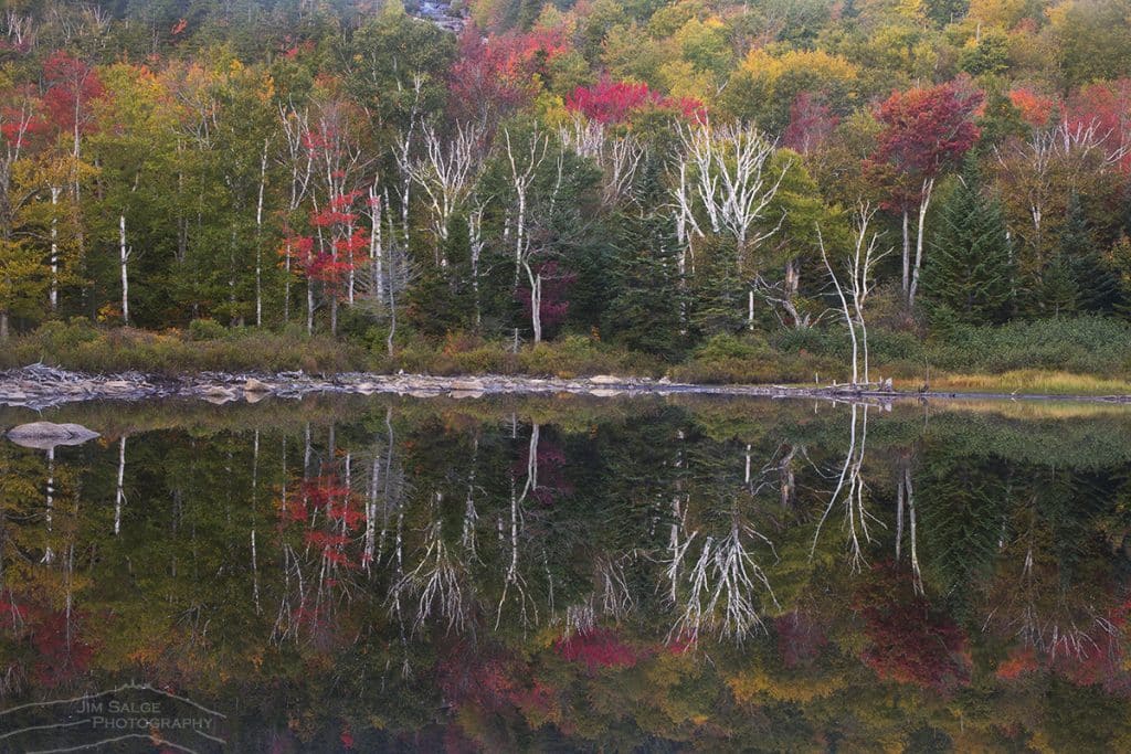 2018 New England Fall Foliage Recap | Still Plenty of Color to Be Found ...