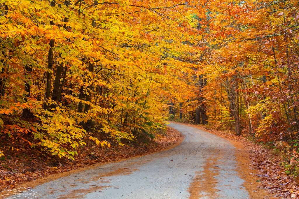 Scenes of Autumn in New England from Our Fall Foliage Forecaster