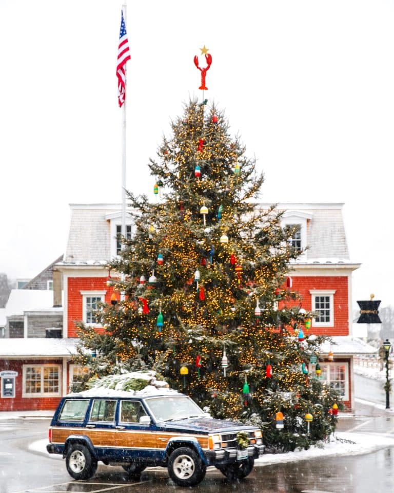 A Picture-Perfect Life in Maine | Q&A with New England Influencers ...