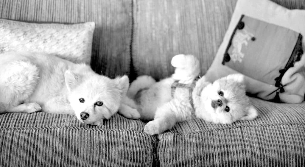 Today 05-08-2018 active - New England