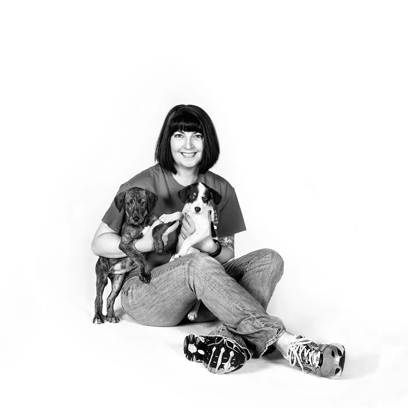 Dog Portraits | Featured Photographer Jesse Freidin - New England