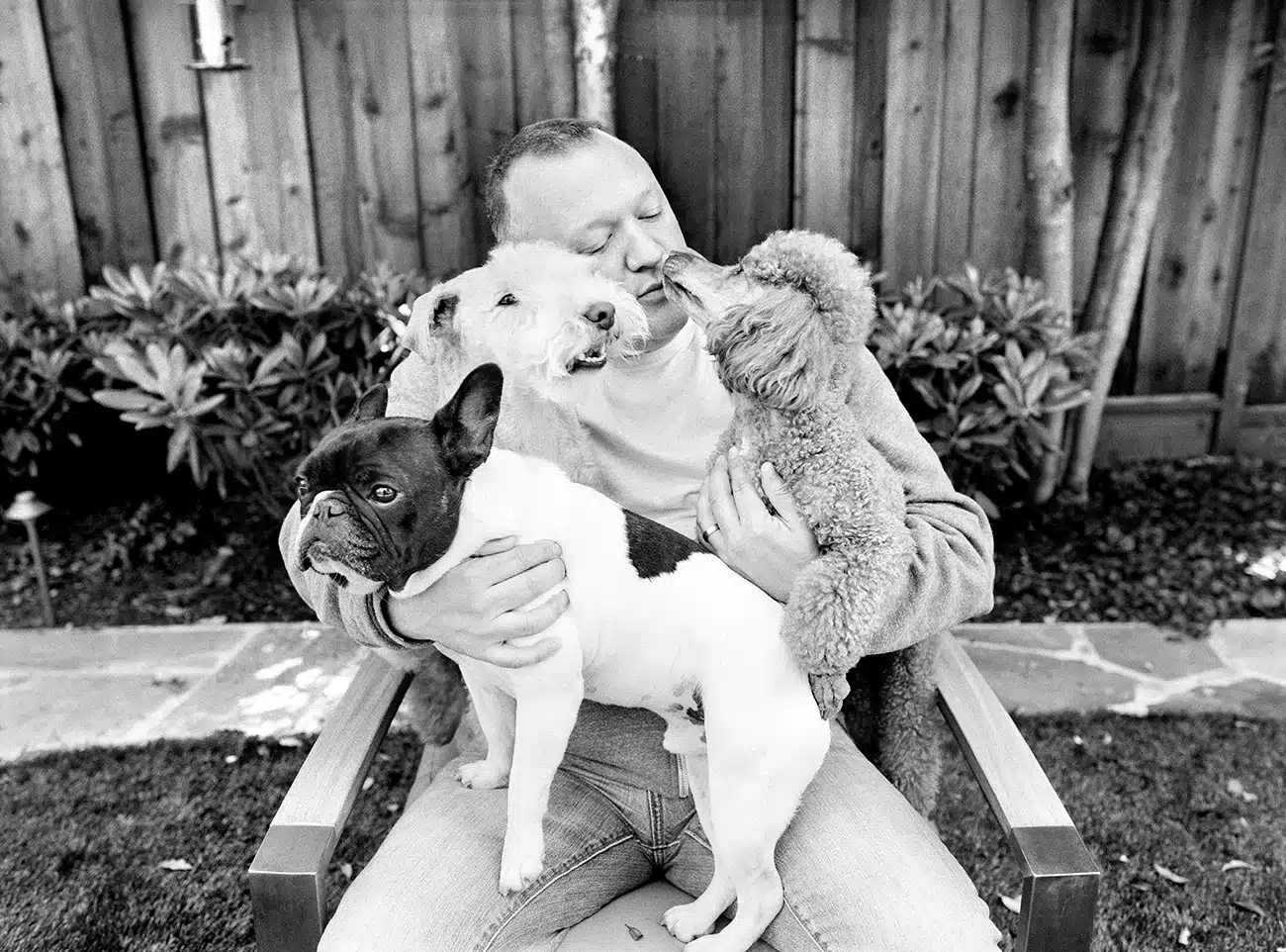 Dog Portraits | Featured Photographer Jesse Freidin - New England