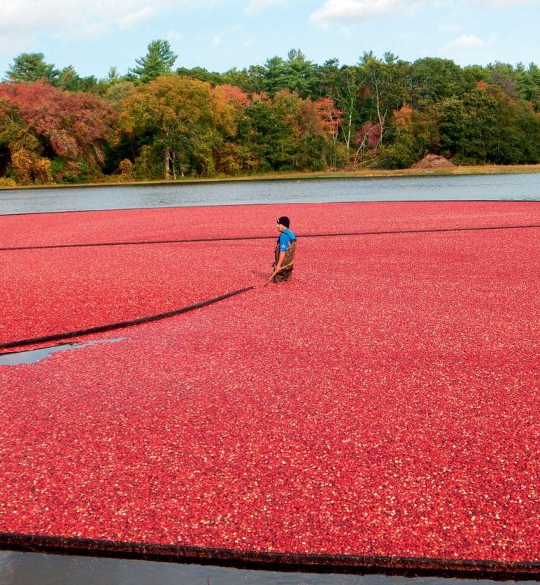 25 Memorable Things to Do in New England in Fall - New England