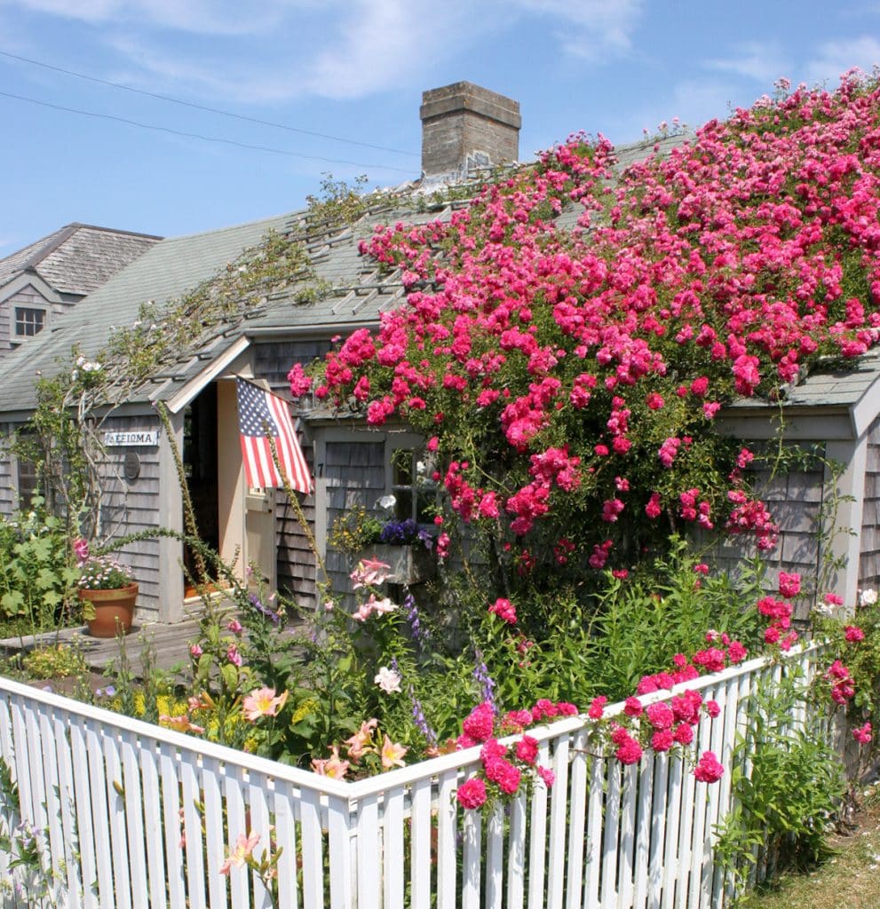 A Bay State Bouquet | Where to Find Flowers in Massachusetts - New England