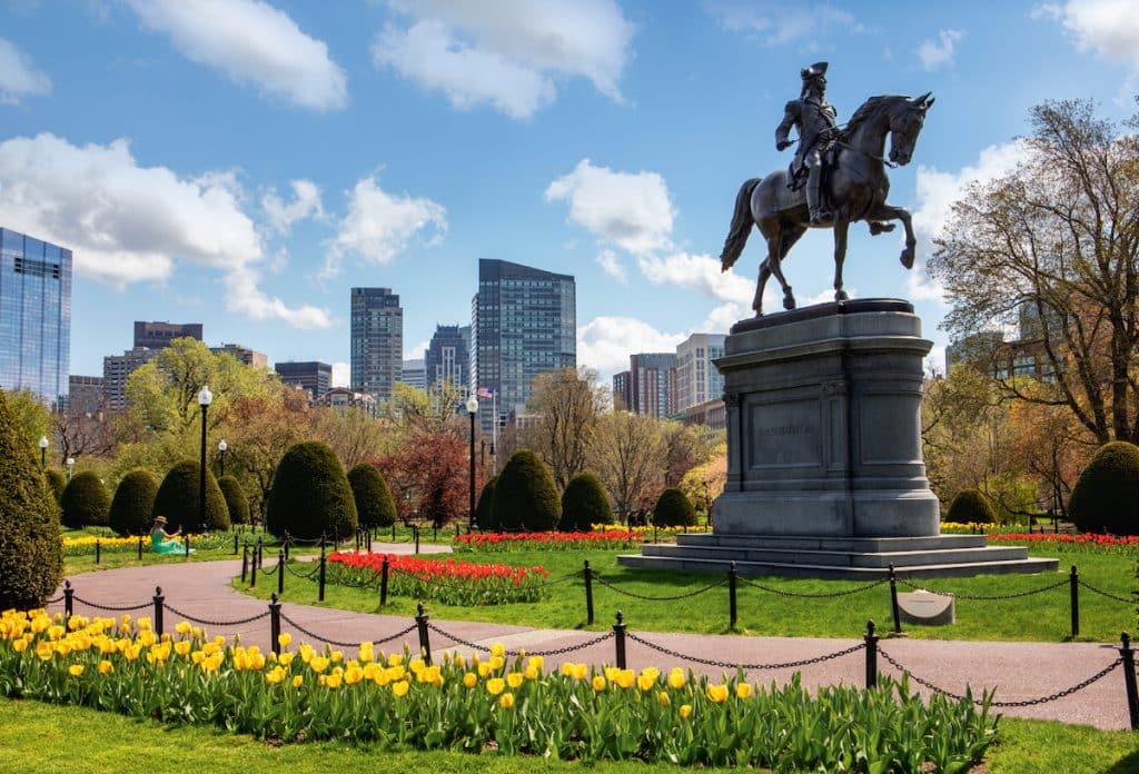 A Bay State Bouquet | Where to Find Flowers in Massachusetts - New England