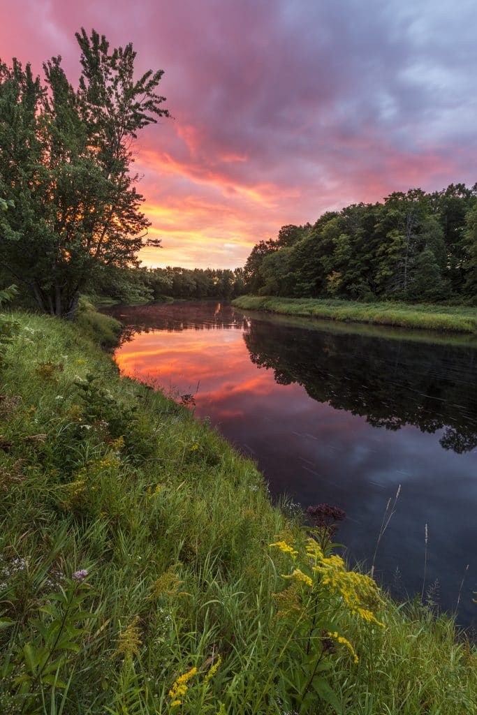 Northern Forests of New England | Photos - New England
