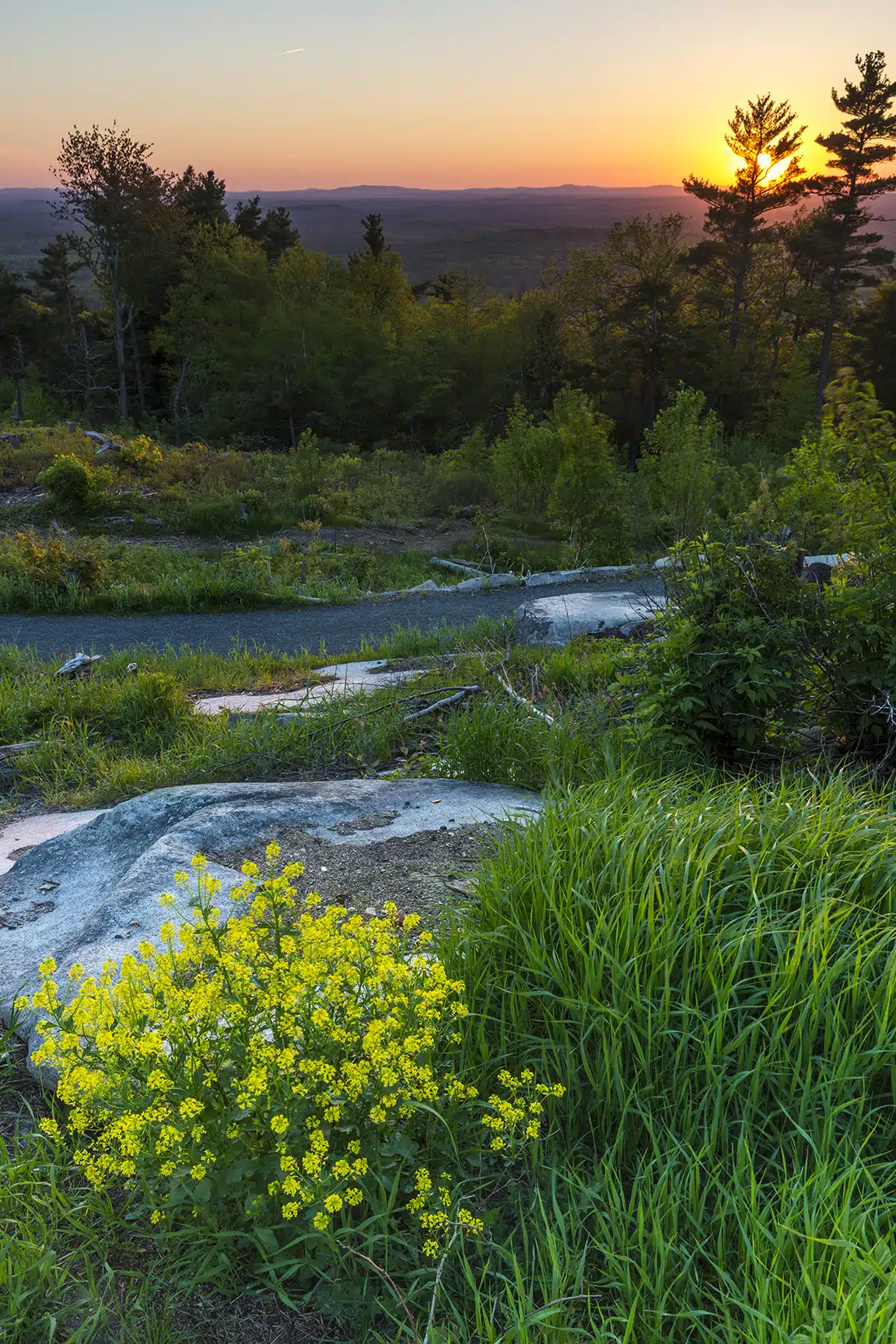 Nature in New England's Wild Places | Photos - New England