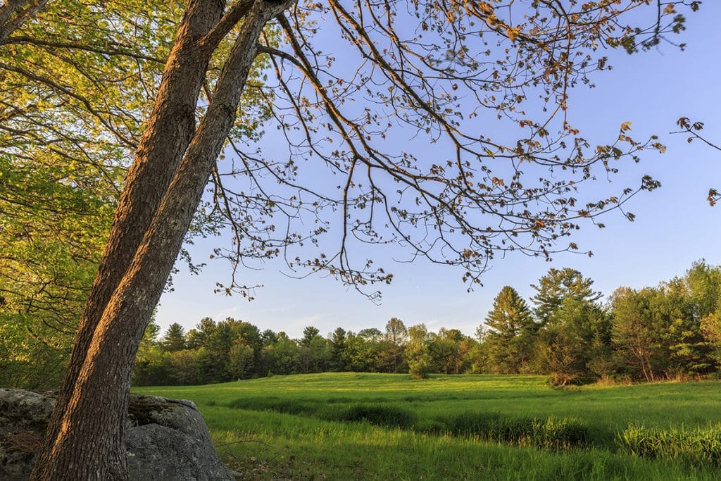 Nature in New England's Wild Places | Photos