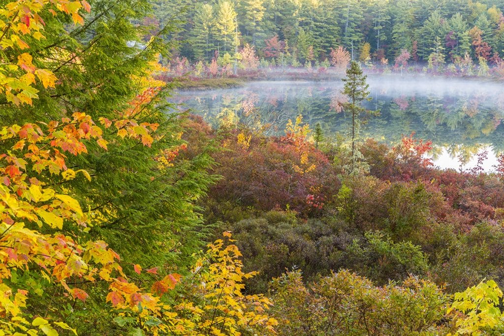 Nature in New England's Wild Places | Photos