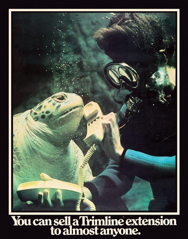 Myrtle the Turtle at the New England Aquarium | Queen of the Deep - New ...