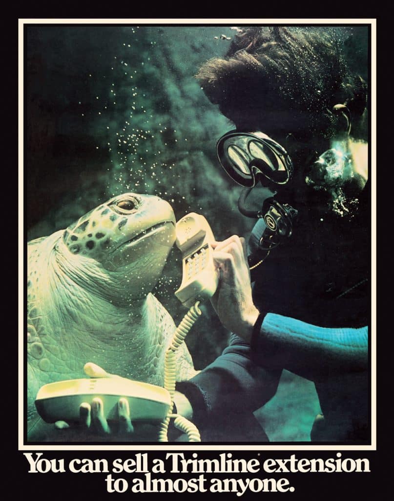 Myrtle the Turtle at the New England Aquarium | Queen of the Deep - New ...