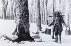 There’s a Maple Syrup Museum in Vermont, and It Could Be Yours
