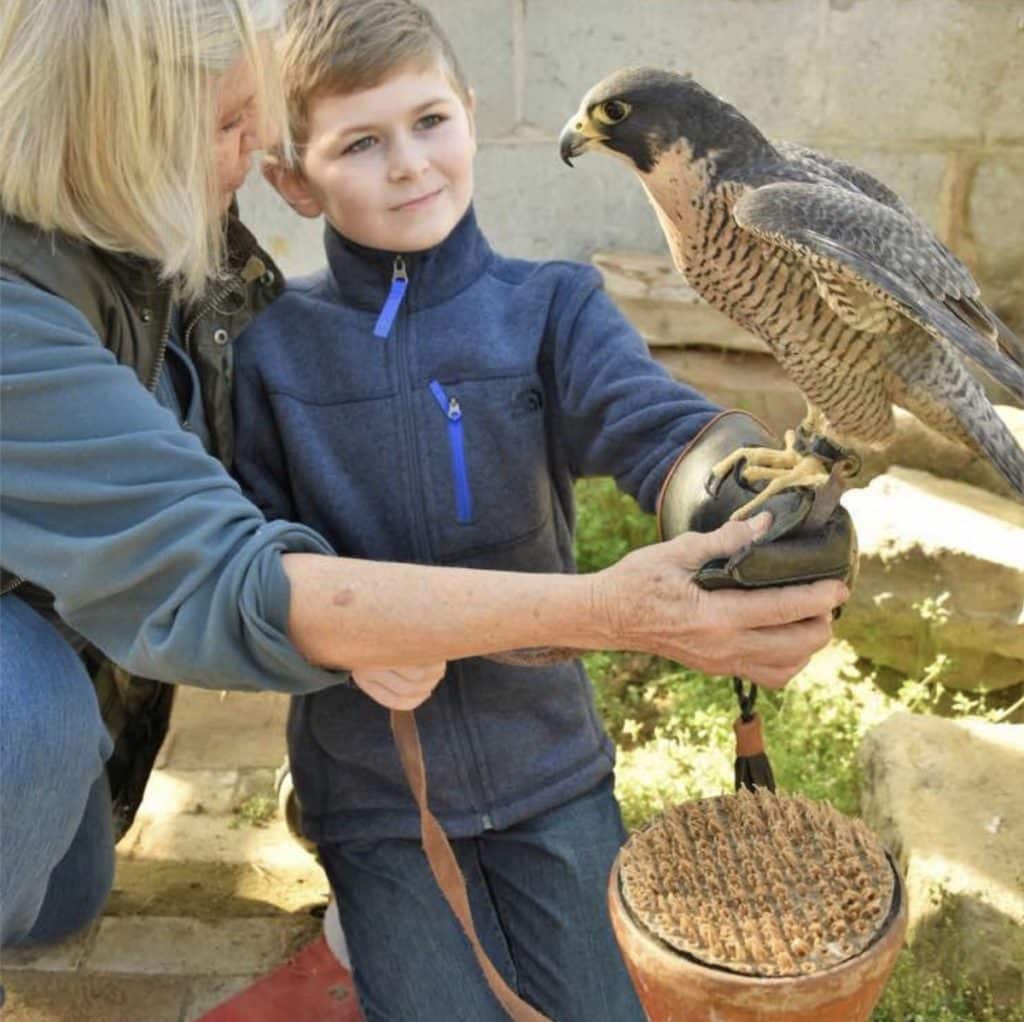10 Unforgettable New England Animal Experiences - New England