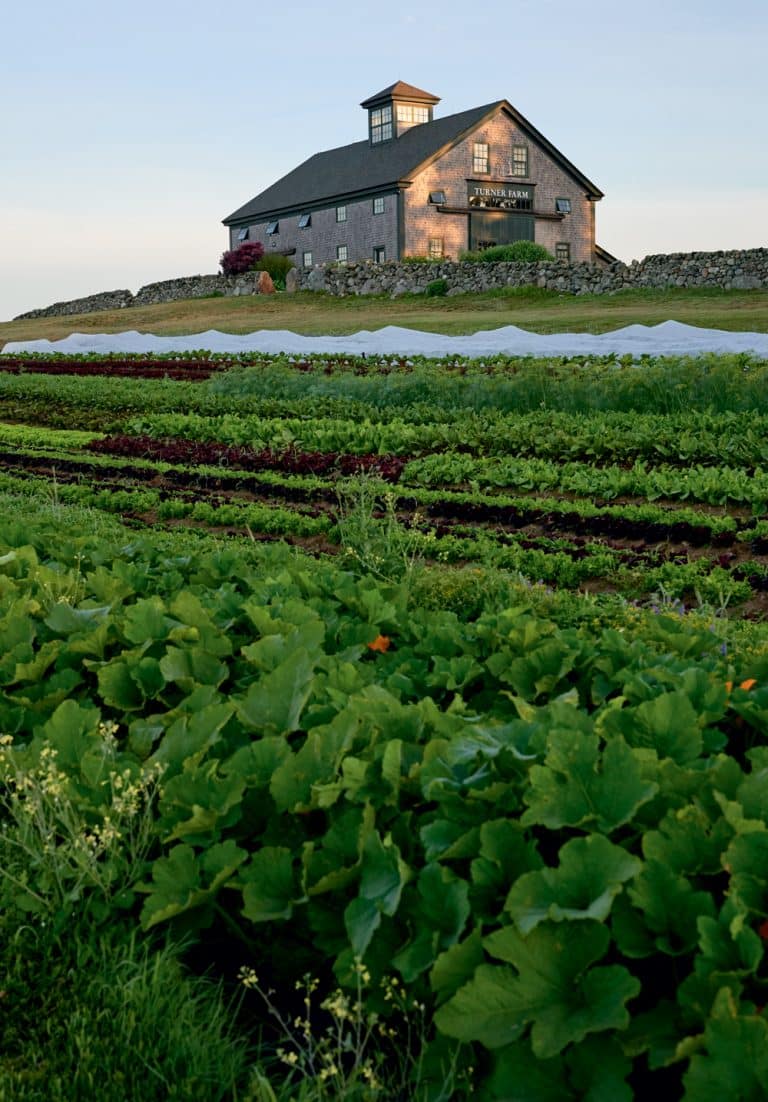 Maine’s Magical Islands - New England