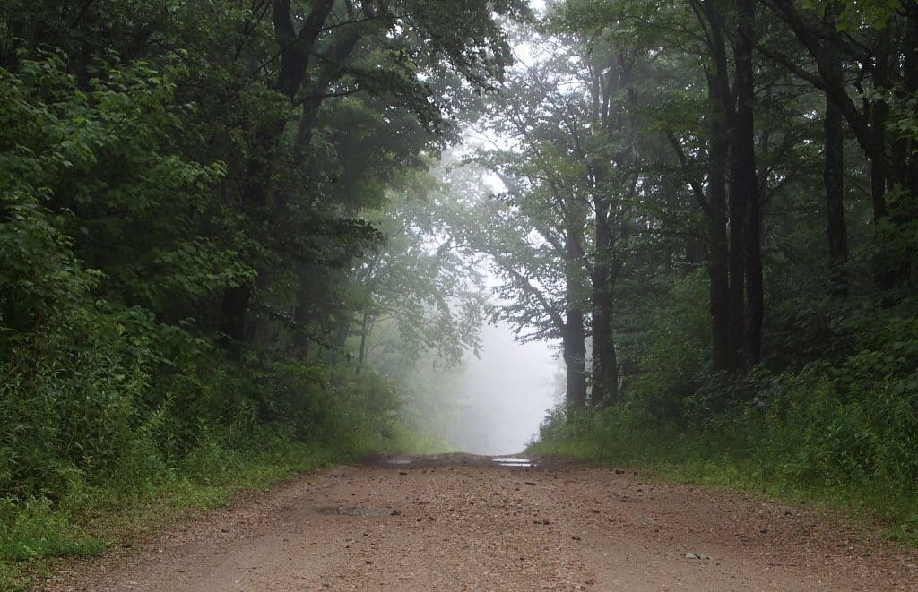 Bigfoot Sighting | Does Bigfoot Live in the Berkshires?