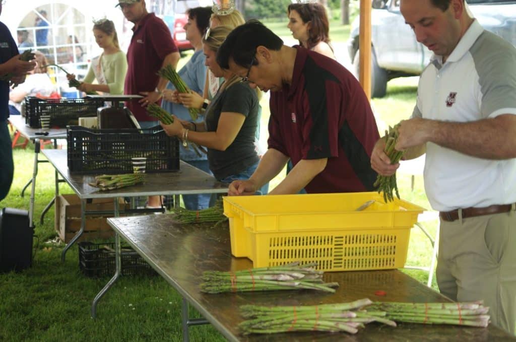 WGBY Asparagus Festival | Hadley, Massachusetts - New England