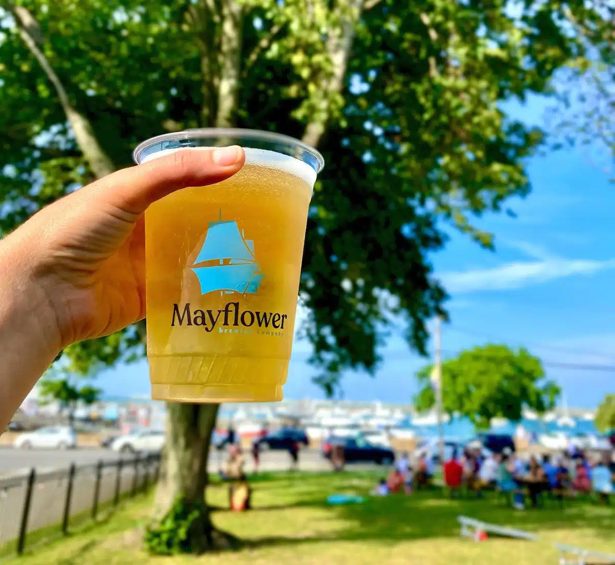 Discover the Best of Summer in Plymouth County - New England