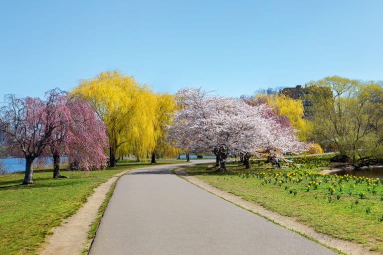 10 Best Things to Do in The Spring in New England - New England