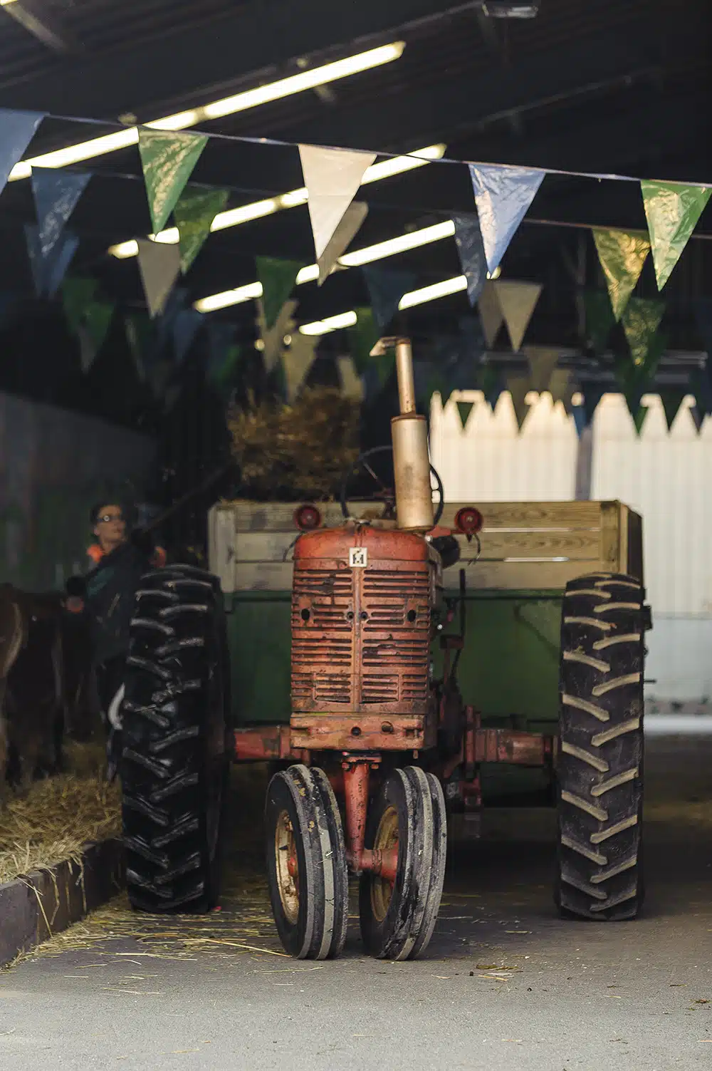 Scenes from the Topsfield Fair